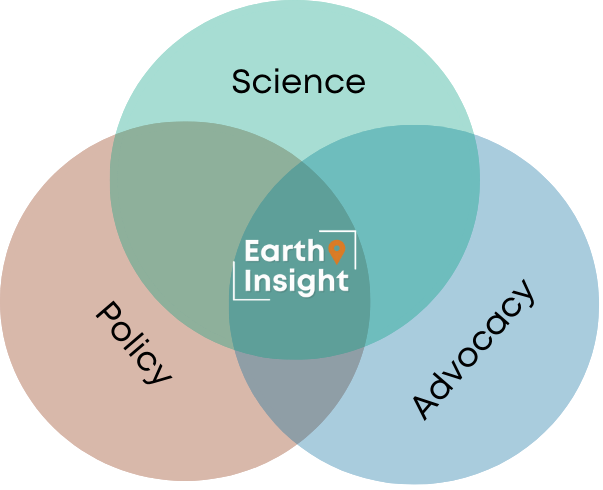 Our Approach | Earth Insight